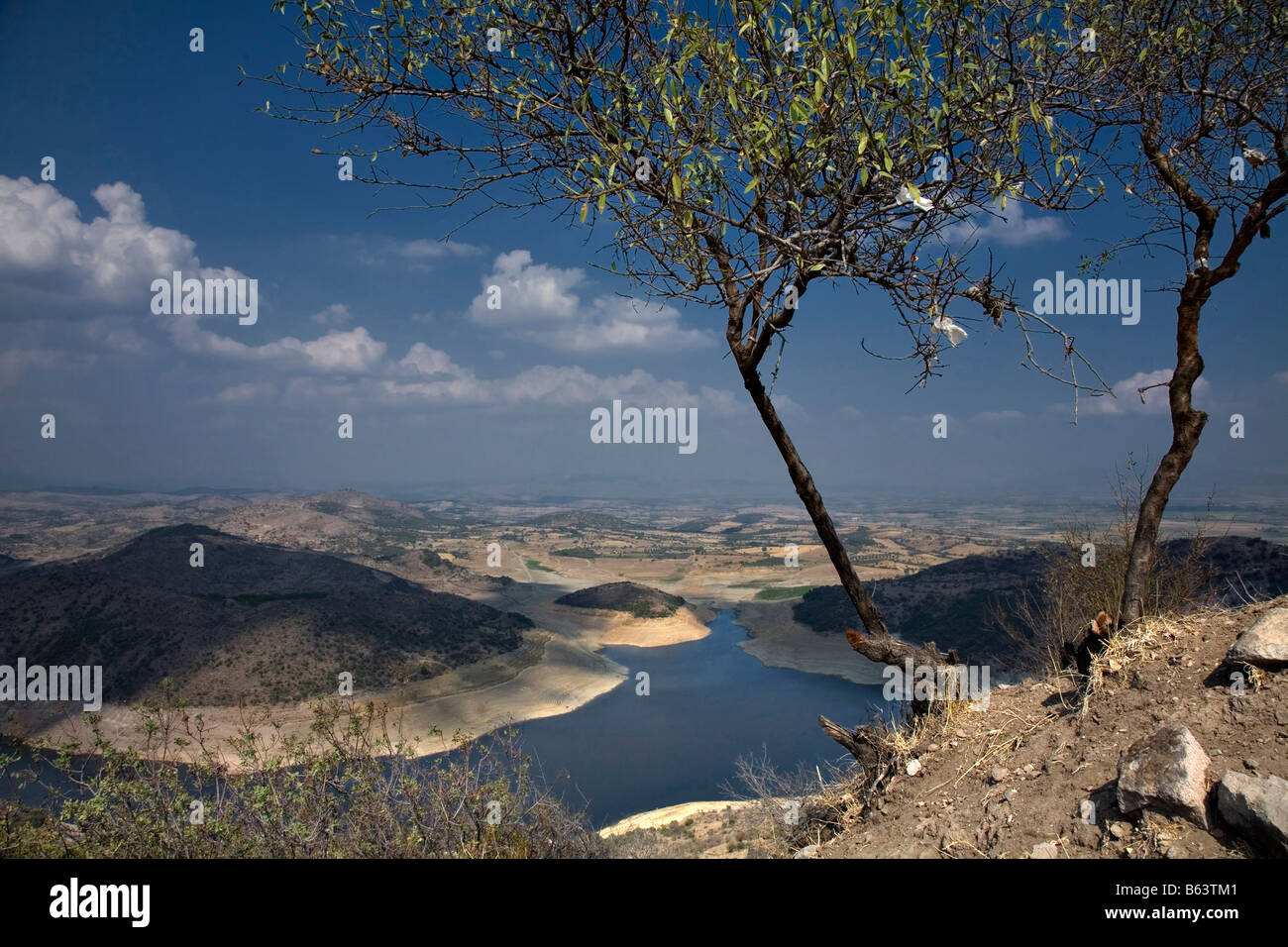 A tree overlooking a mountain lake Stock Photo - Alamy