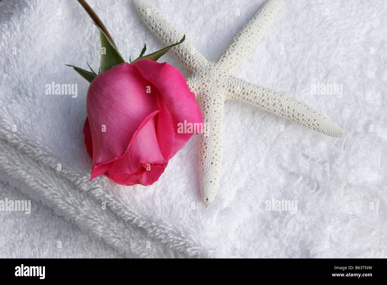 Relaxing and tranquil scene hi-res stock photography and images - Alamy