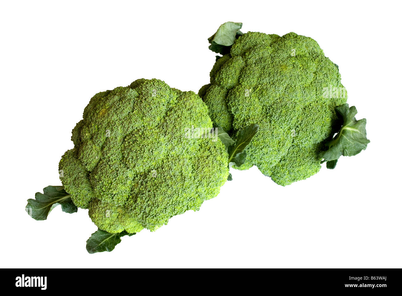 Two broccoli heads Stock Photo - Alamy