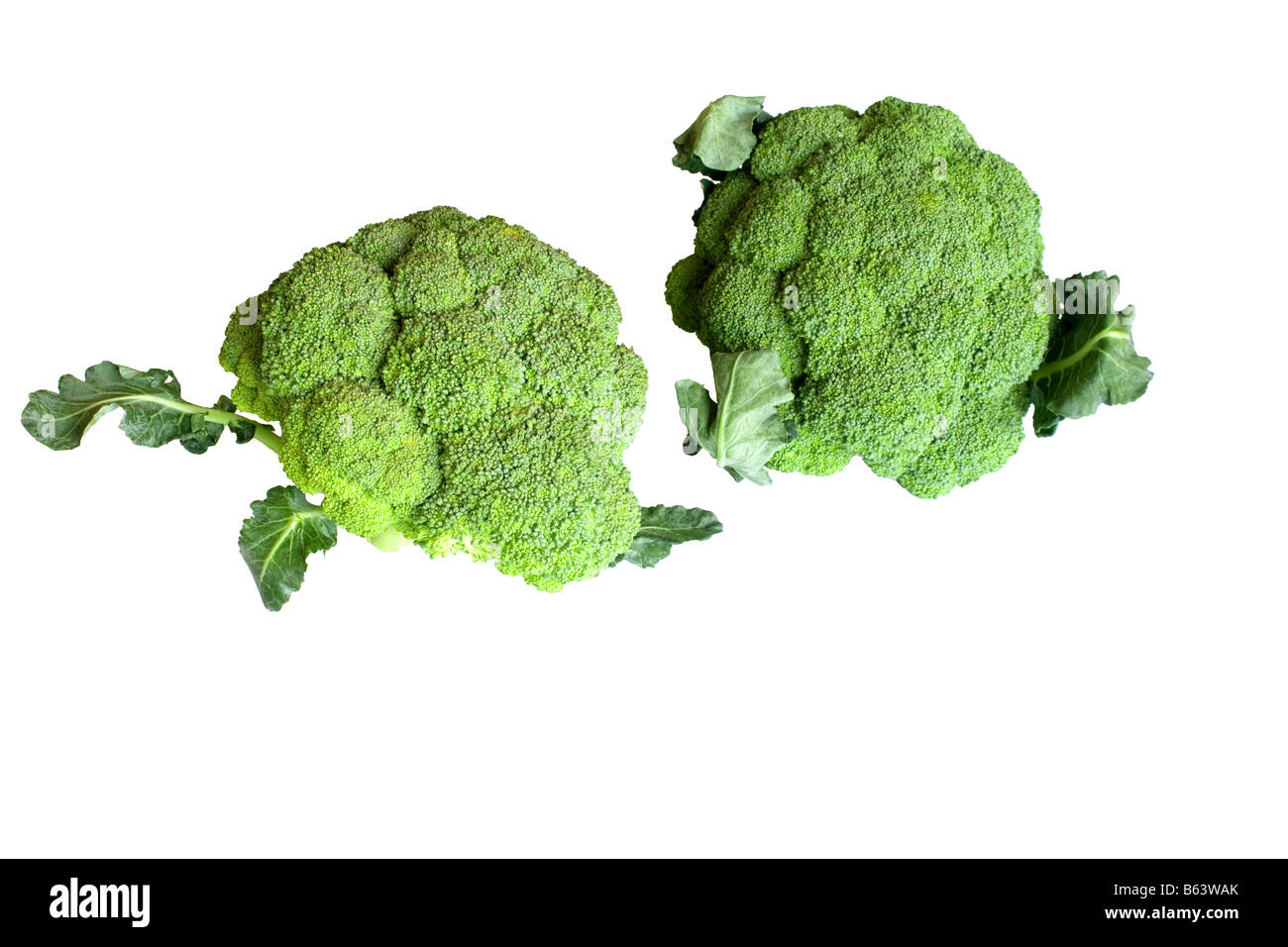 Two broccoli heads Stock Photo - Alamy