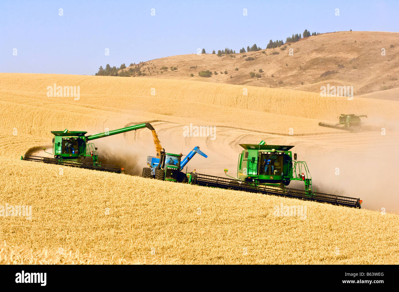 Multiple combines harvesting wheat in hi-res stock photography and ...