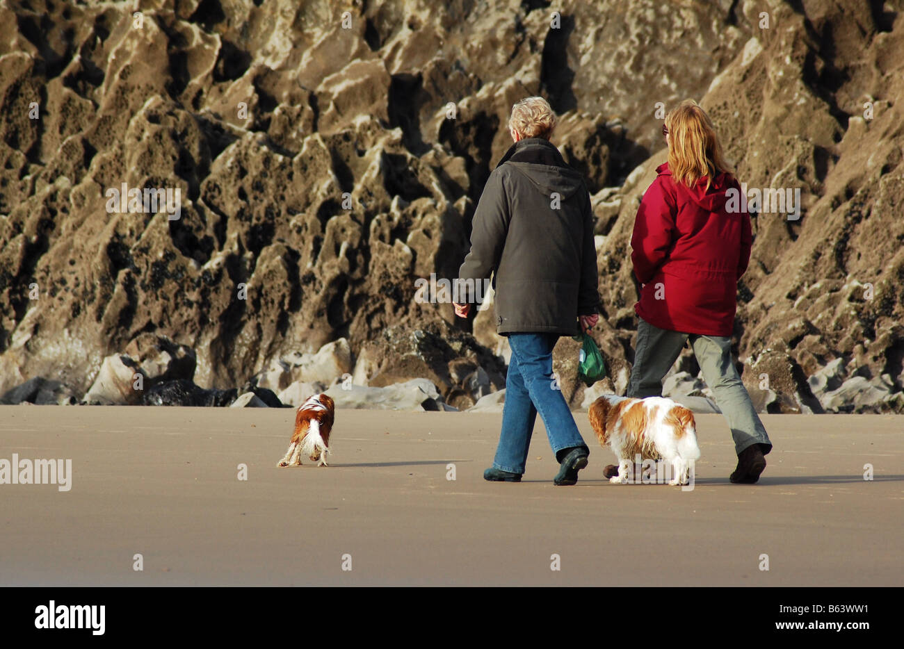 Two friends walking their dogs on the beach Stock Photo - Alamy