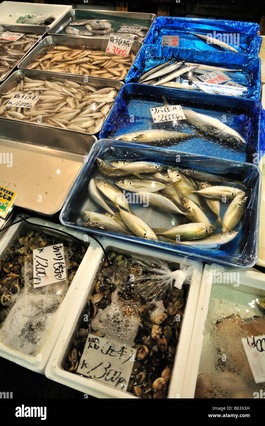 Fresh fish on sale at Tsukiji fish market, Tokyo, Japan Stock Photo - Alamy