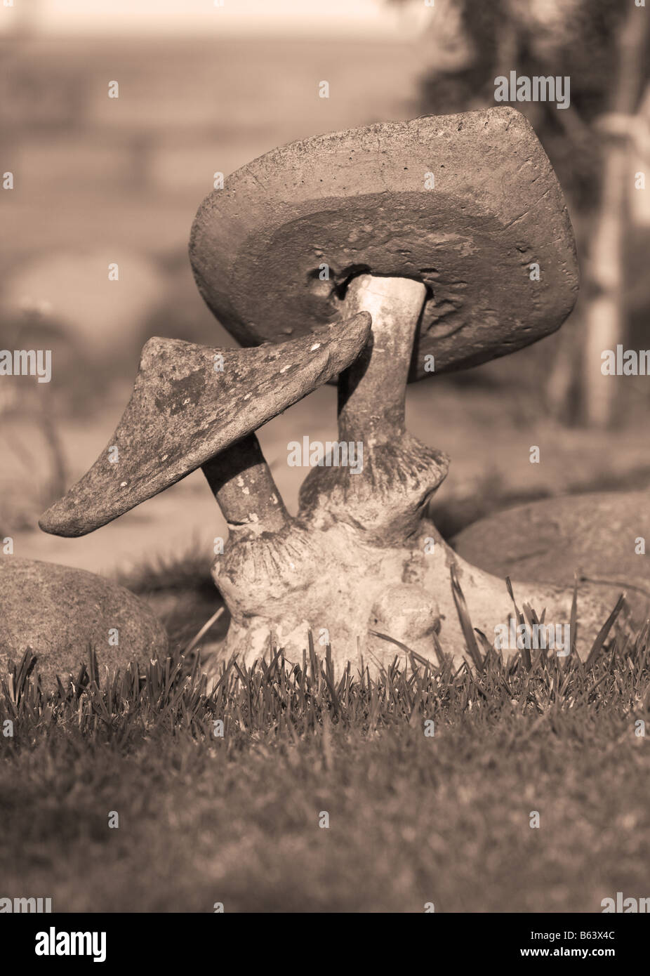 Concrete toadstools in black and white sepia Stock Photo - Alamy