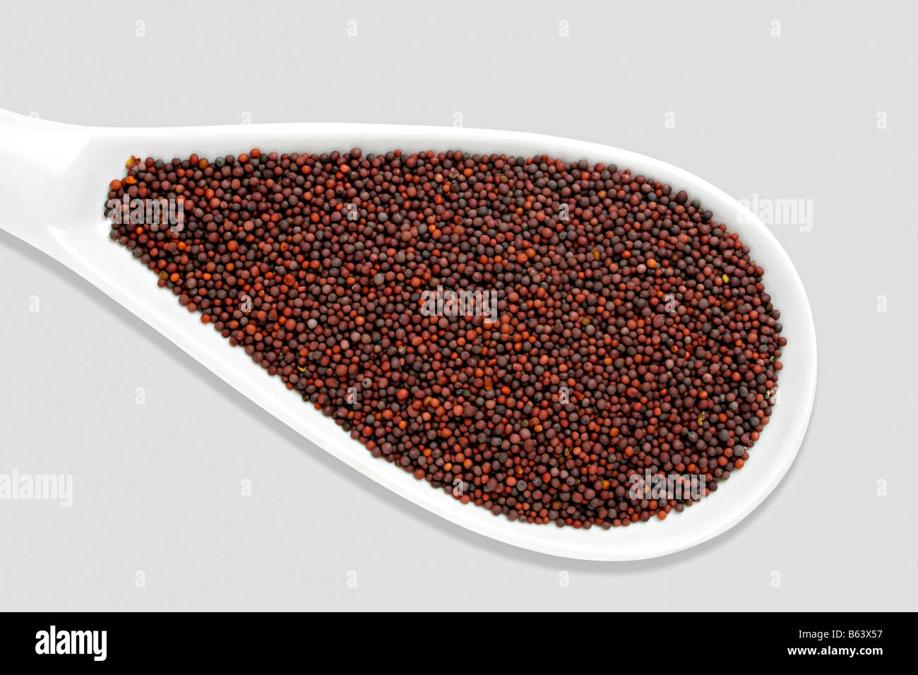 Black mustard seed hi-res stock photography and images - Alamy