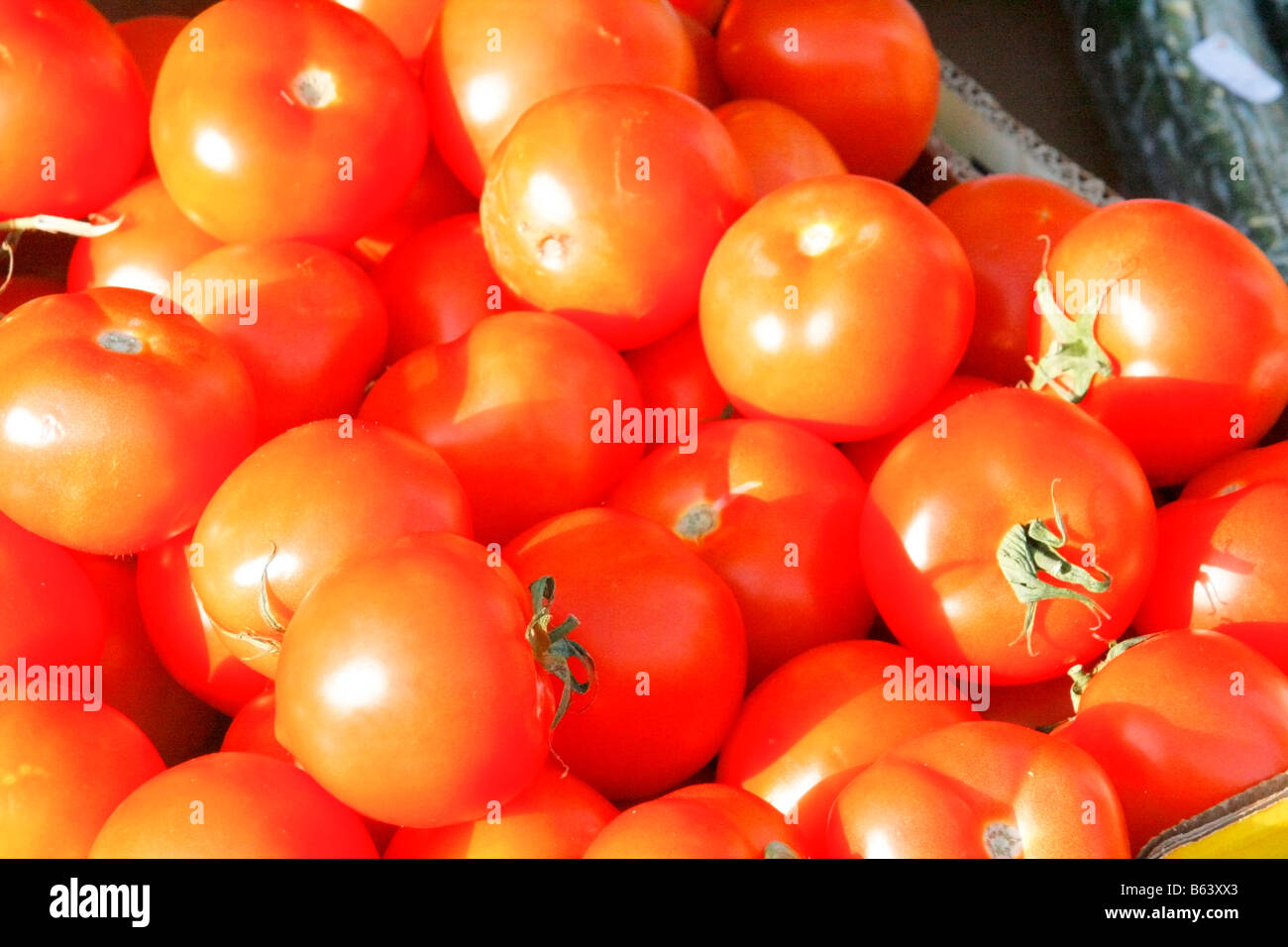 English tomatoes hi-res stock photography and images - Alamy