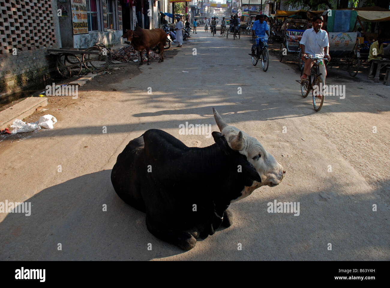 Hindu life cycles hi-res stock photography and images - Alamy