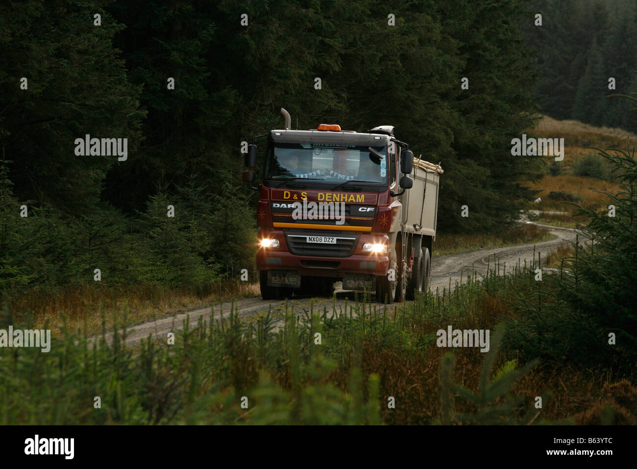 Lorry driving in a forest Stock Photo - Alamy