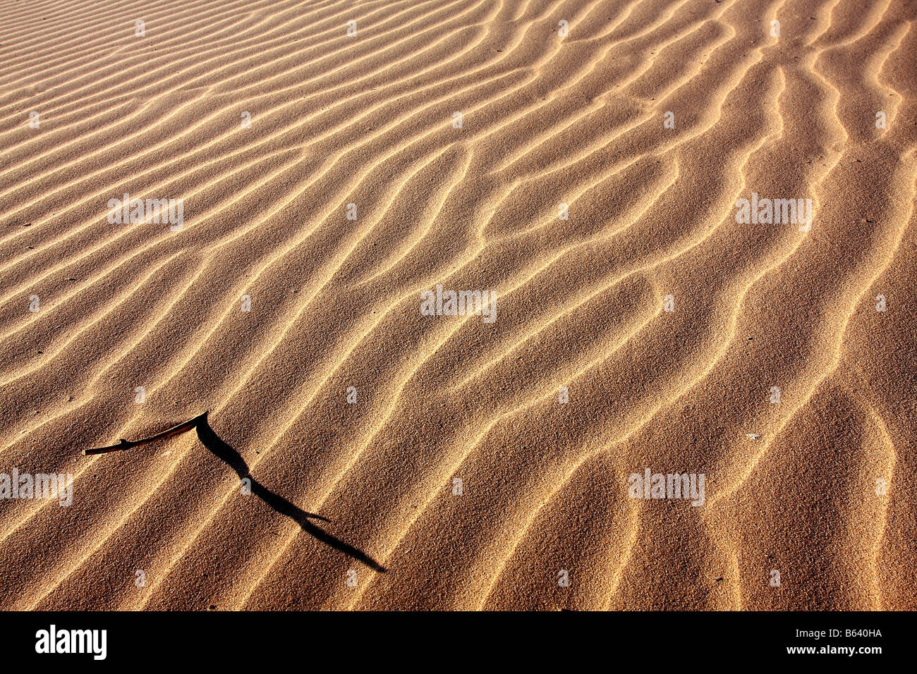 wind patterns Sand Dune Stock Photo - Alamy