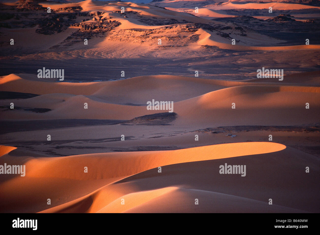Algeria, near Djanet. Sanddunes. Sahara Desert Stock Photo - Alamy