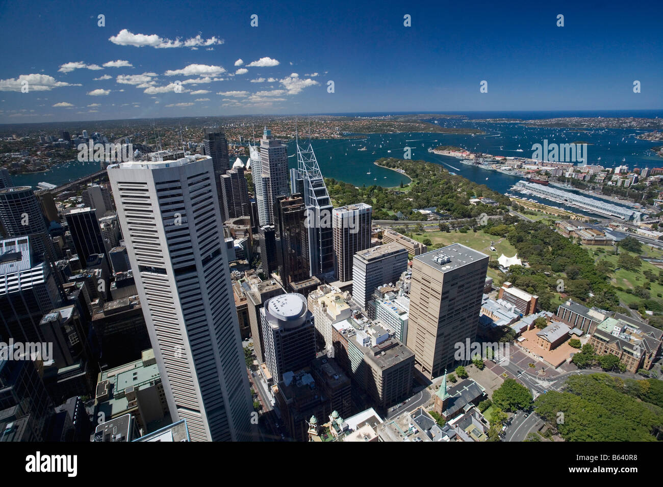 Australia, Sydney, View from Sydney tower Stock Photo - Alamy