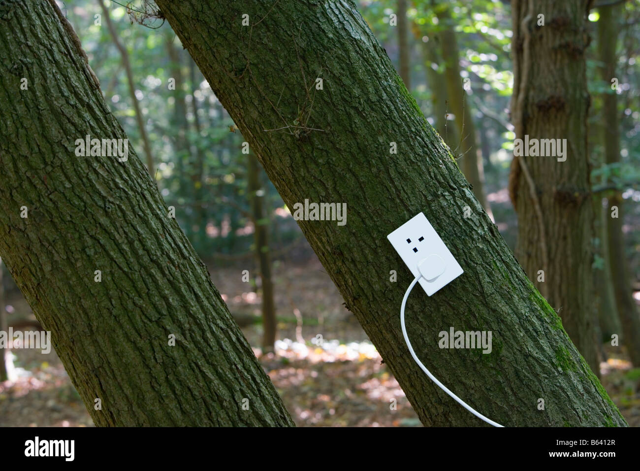 Electrical Box To A Tree