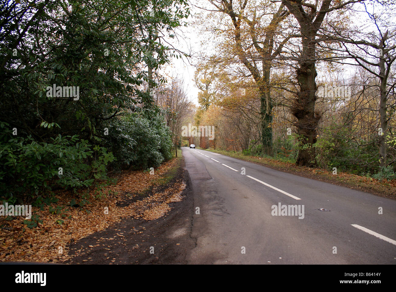 Country road in kent hi-res stock photography and images - Alamy