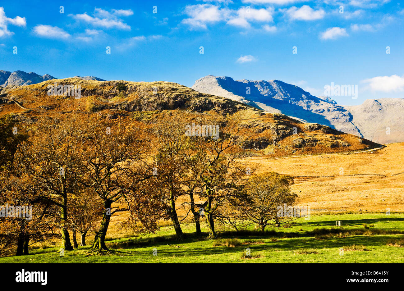 Typical lake district landscape hi-res stock photography and images - Alamy