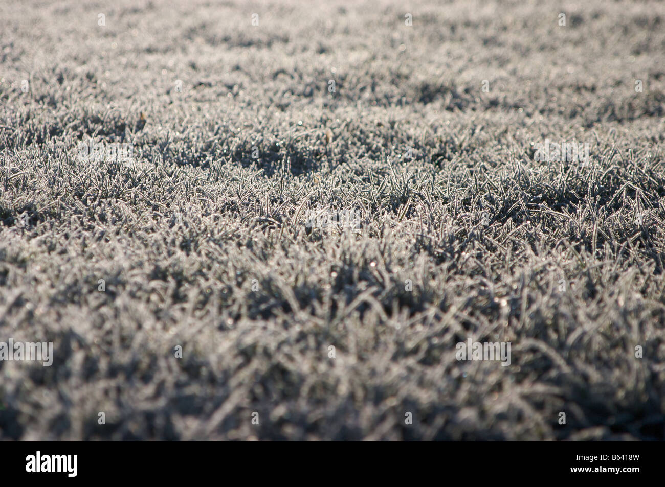 First grass hi-res stock photography and images - Alamy