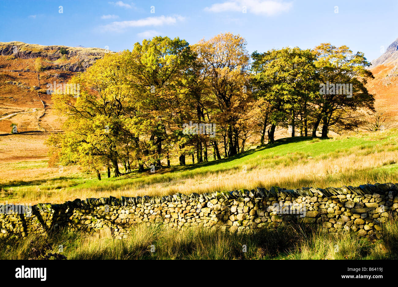Typical sunny autumn day landscape scenery view in the Lake District ...