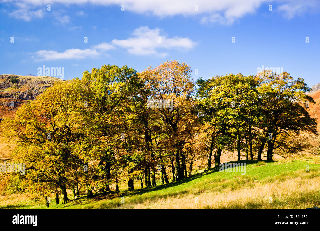 Typical sunny autumn day landscape scenery view in the Lake District ...