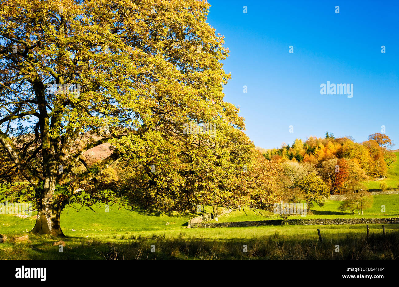 Typical sunny autumn day landscape scenery view in the Lake District ...