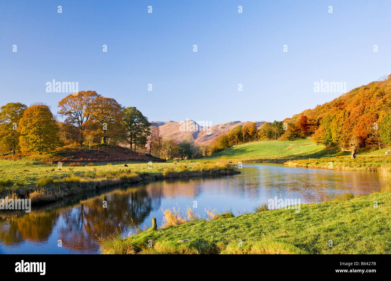 River Brathay in afternoon autumn sunshine near Elterwater, Lake ...