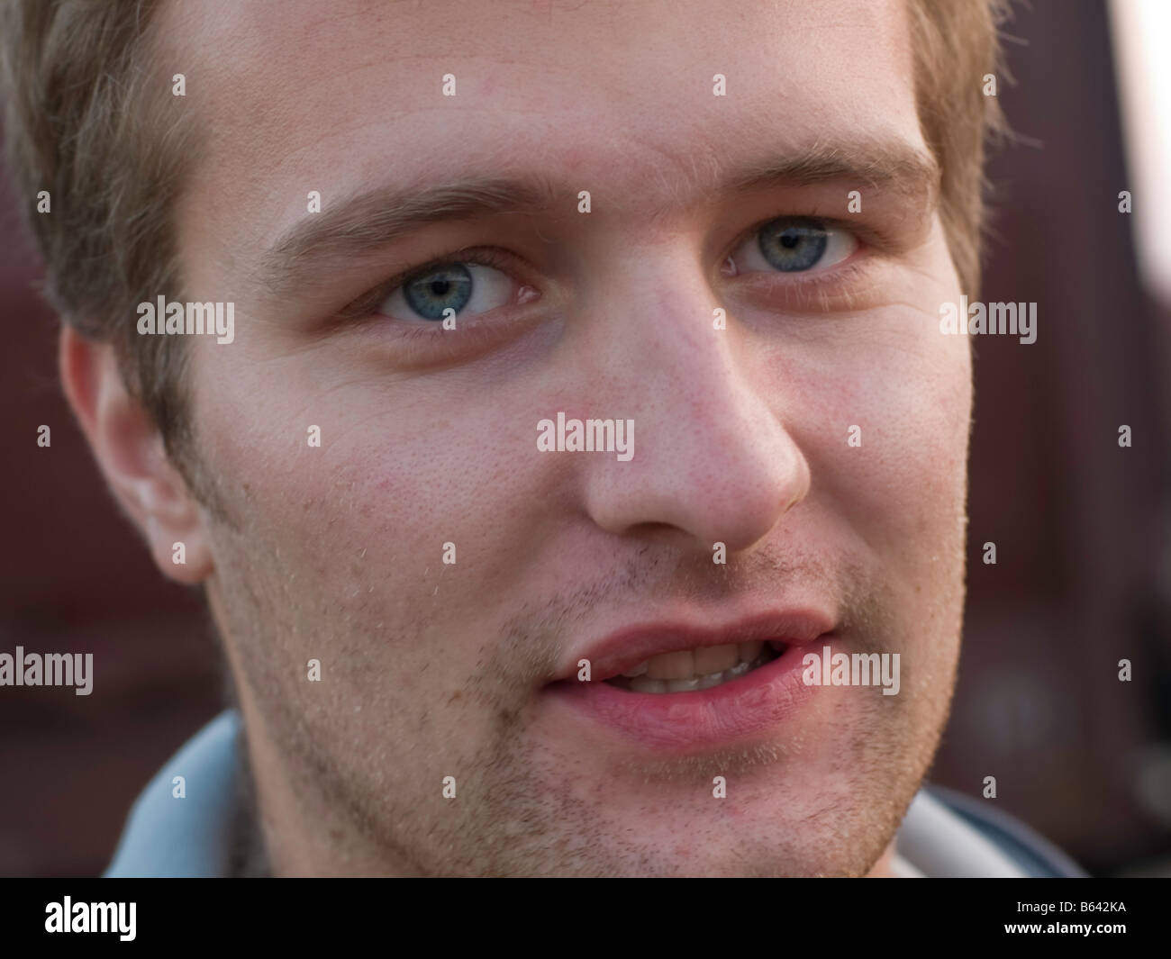 A young man looking directly into the camera Stock Photo - Alamy A young man looking directly into the camera Stock Photo - Alamy