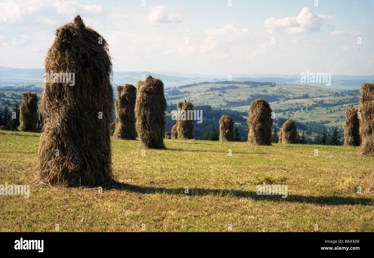Hay stacks poland hi-res stock photography and images - Alamy