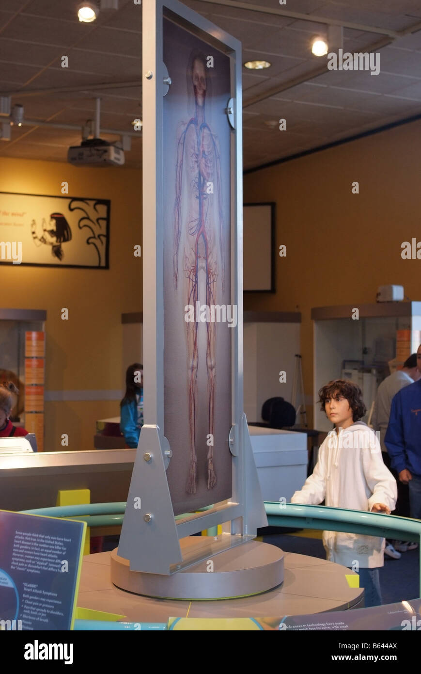 Philadelphia PA Franklin Institute science museum learning about the ...