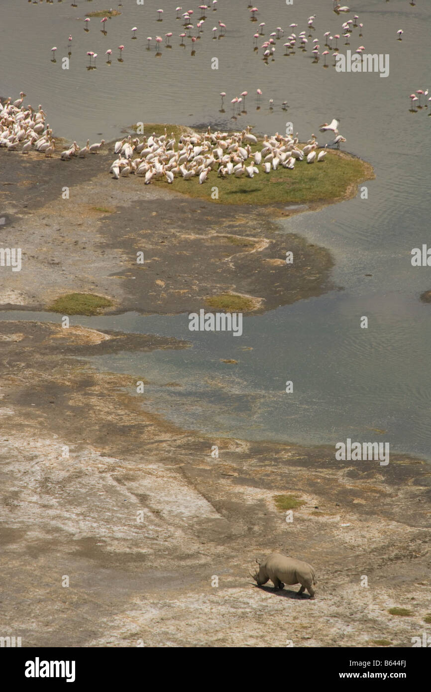 Nakuru lake aerial hi-res stock photography and images - Alamy