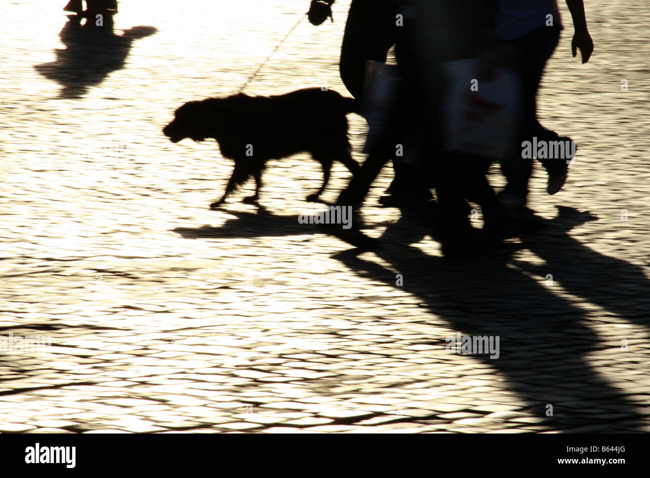 Teen Silhouette Shadow Road High Resolution Stock Photography and ...