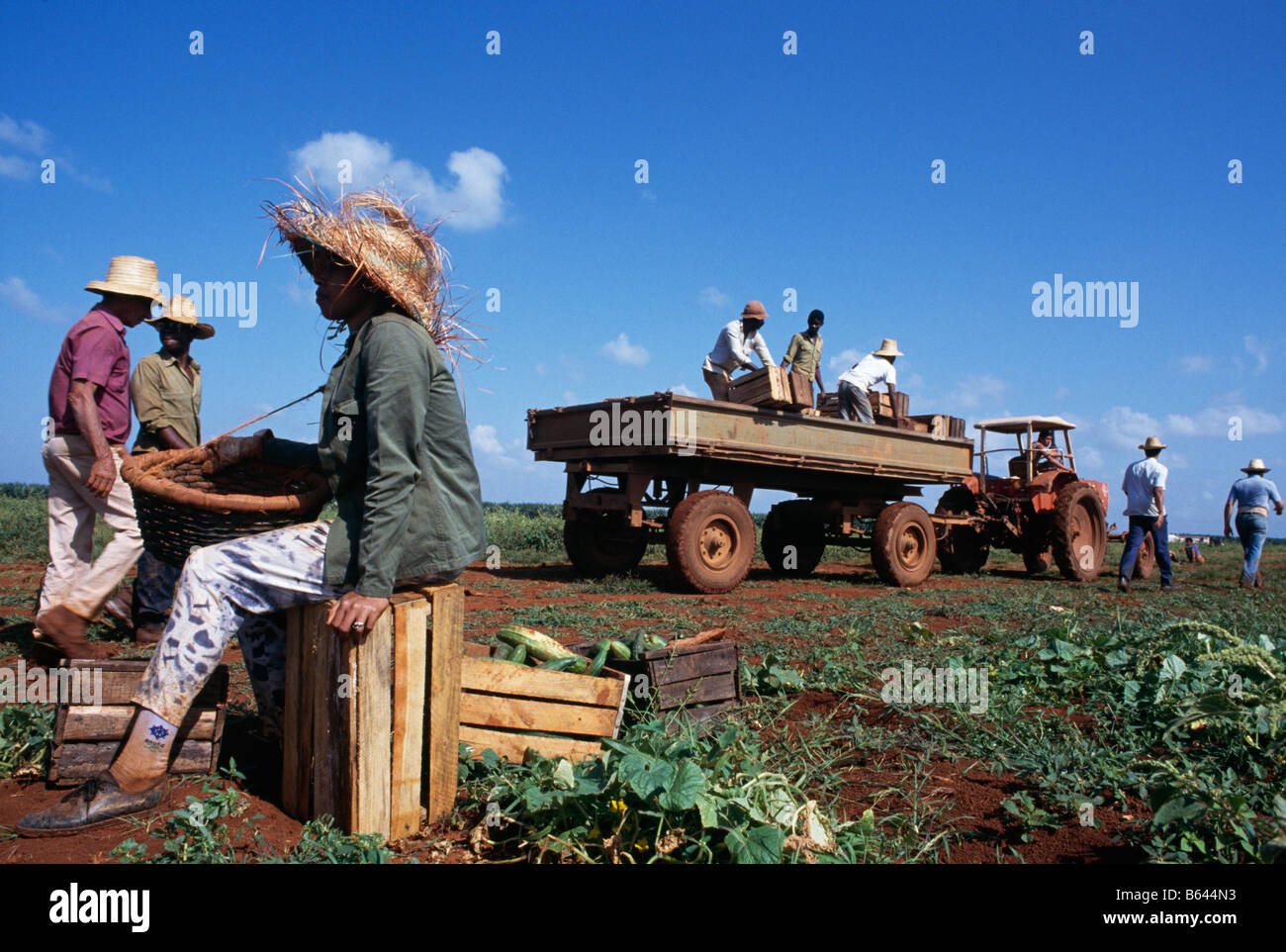 Communist collective farm hi-res stock photography and images - Alamy