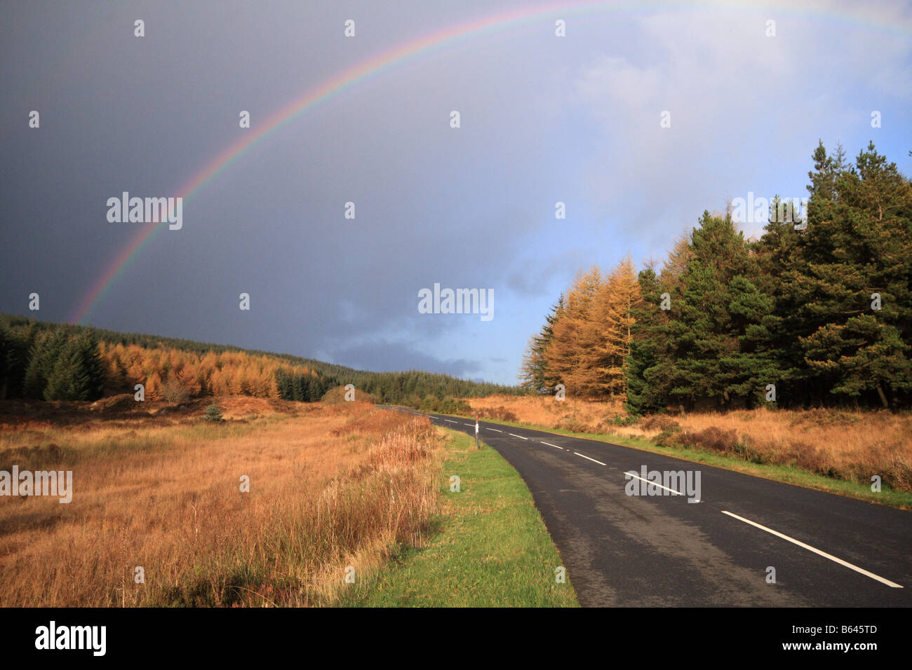 Rainbow in the Galloway Forest Park, Dumfries and Galloway, Scotland ...