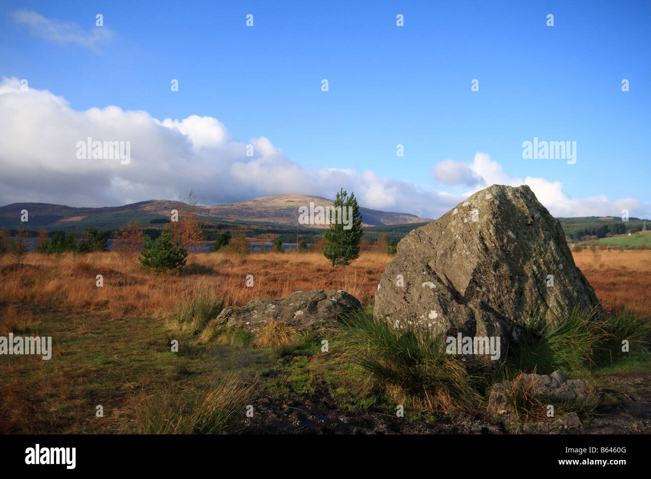 Galloway forest park scotland hi-res stock photography and images - Alamy