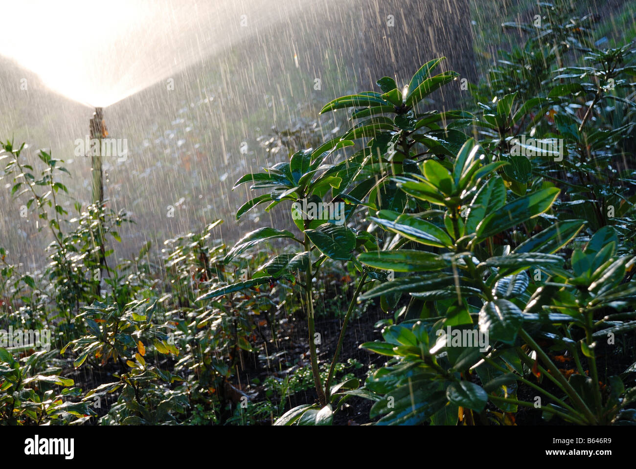 Luminous cone hi-res stock photography and images - Alamy