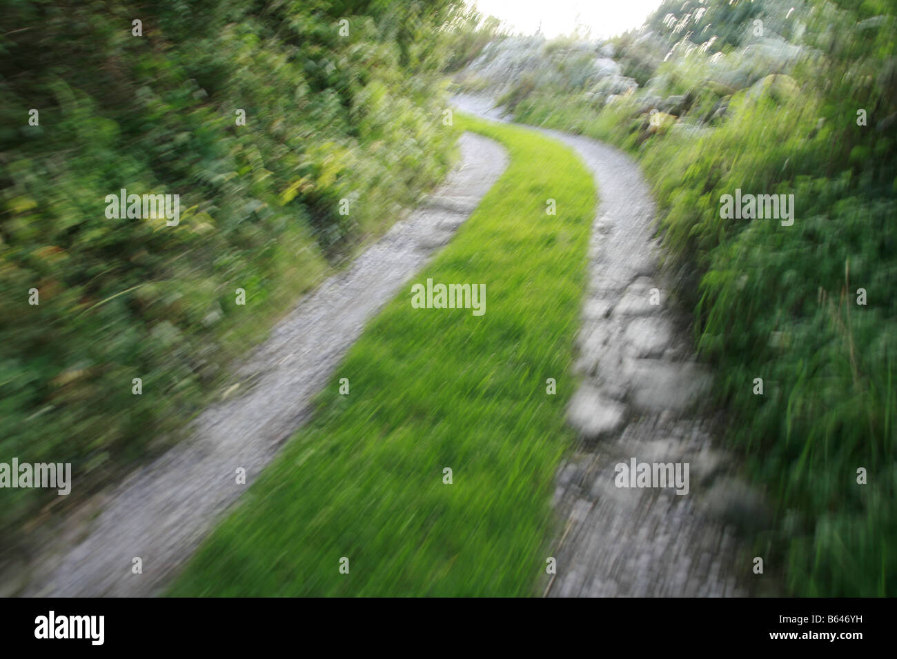 detail of rural country lane with motion blur Stock Photo - Alamy