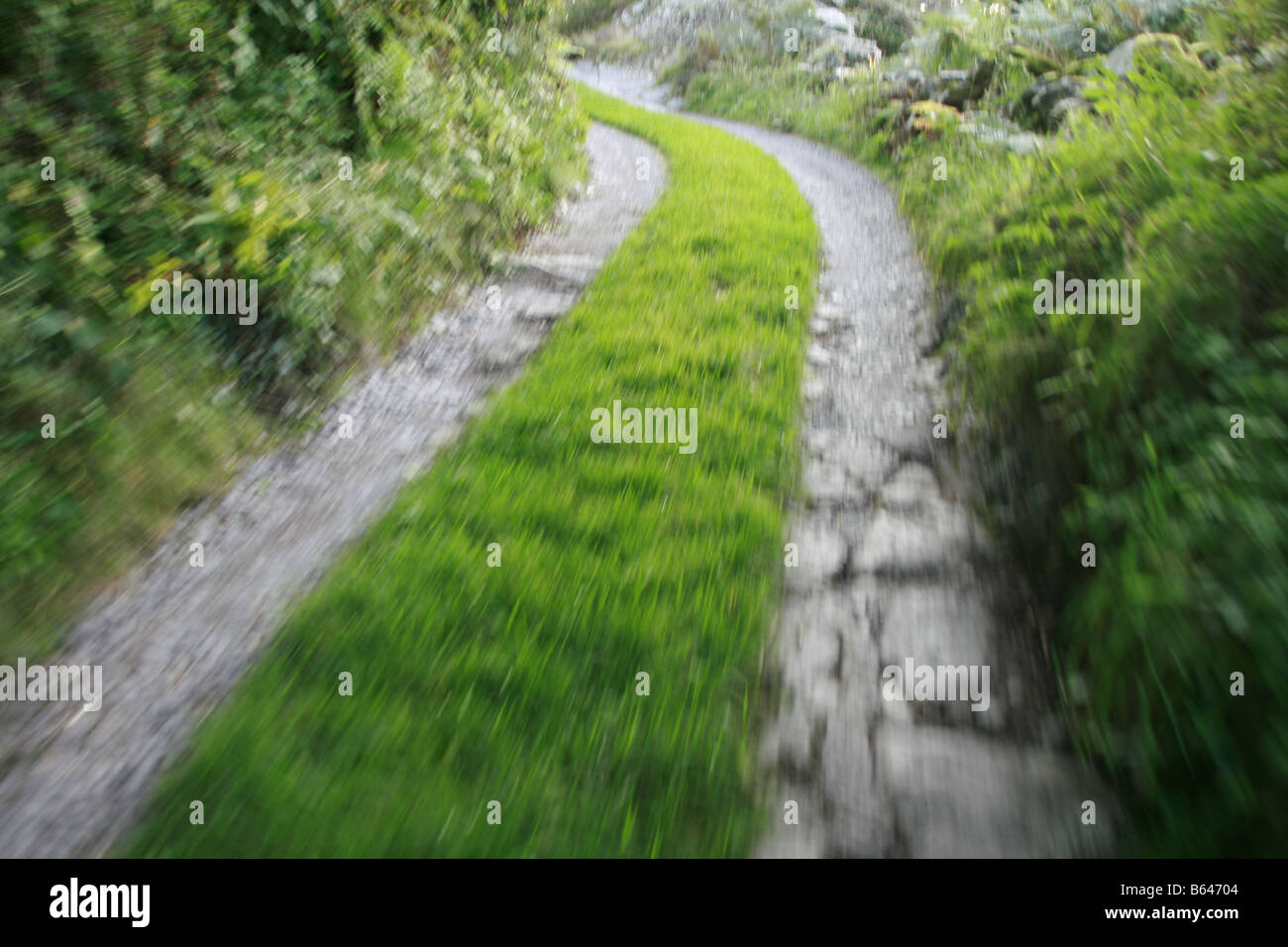 detail of rural country lane with motion blur Stock Photo - Alamy