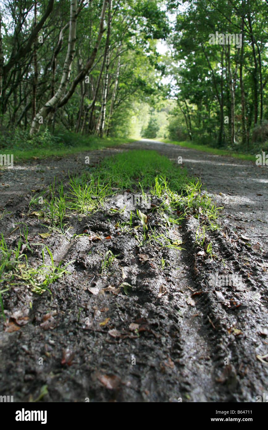 bike wheel tracks in mud on cycle path in country Stock Photo - Alamy