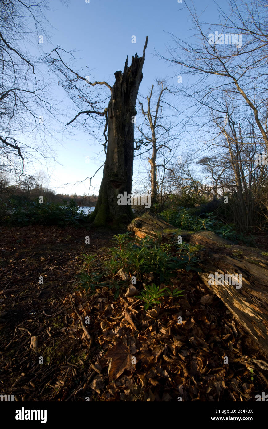 Bolam lake country park hi-res stock photography and images - Alamy