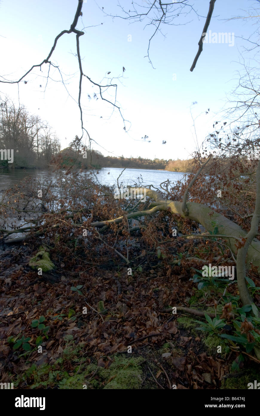 Bolam lake country park hi-res stock photography and images - Alamy