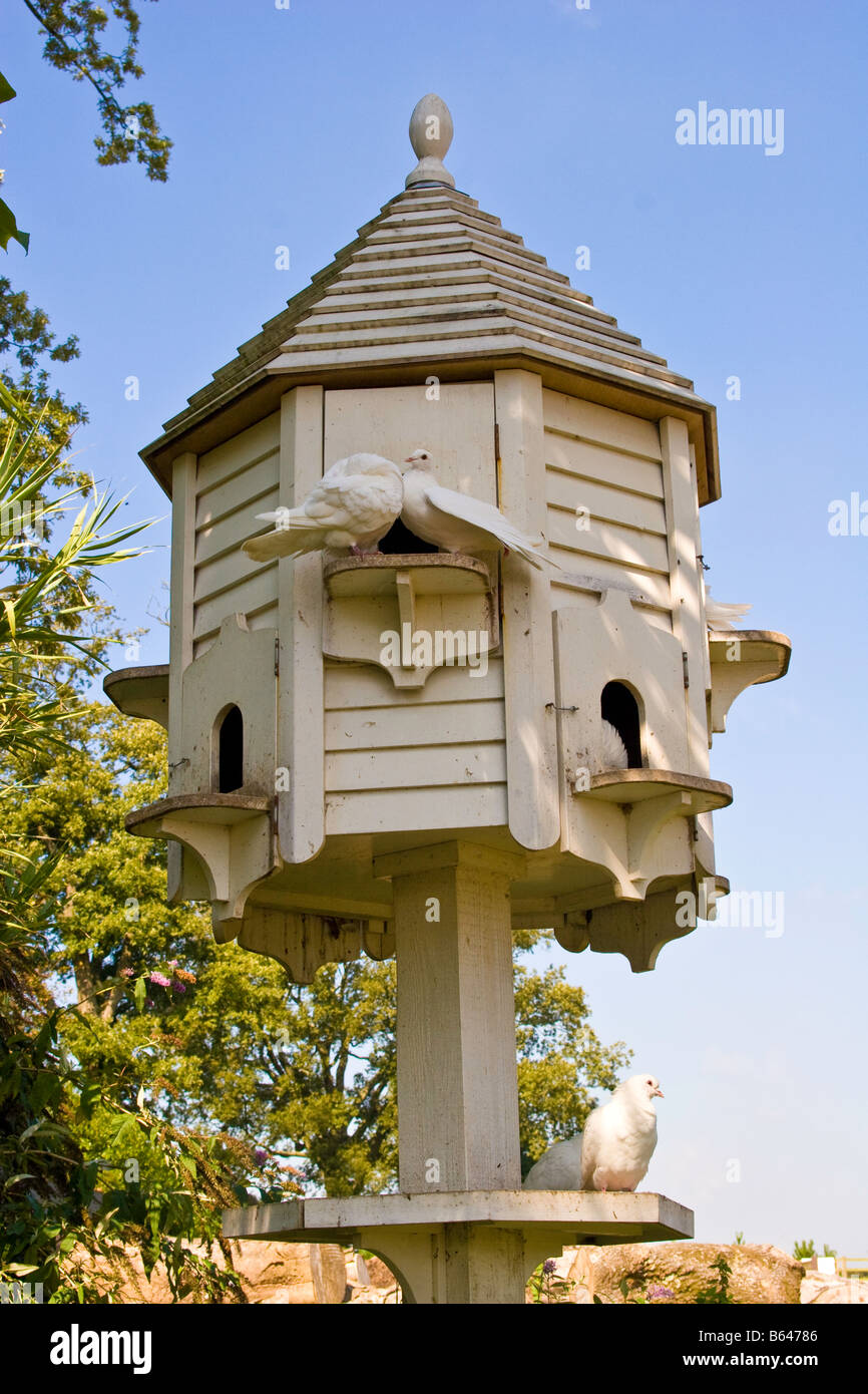 Dove doves dovecote dovecot hi-res stock photography and images - Alamy