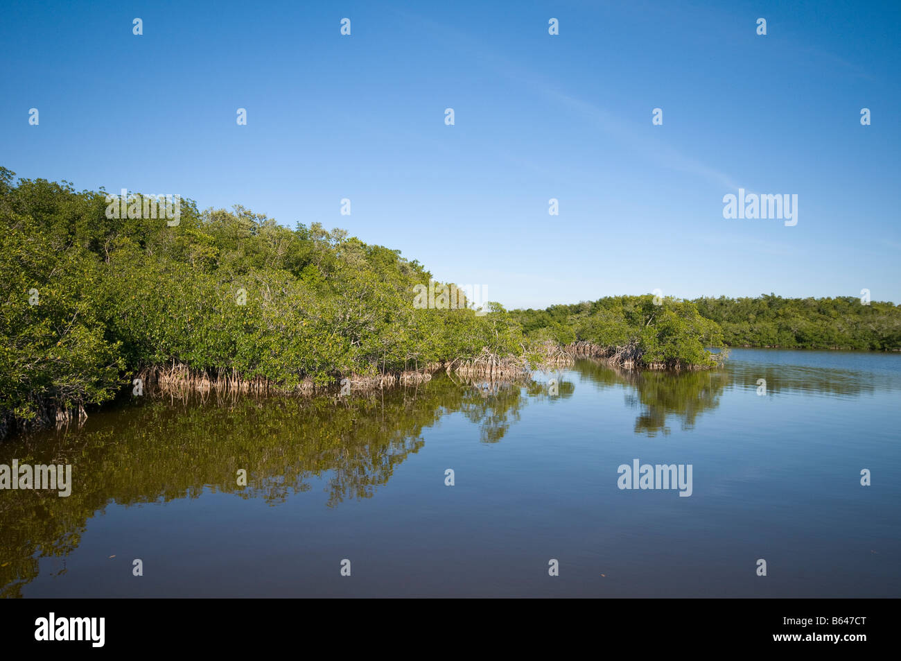 Everglades ocean hi-res stock photography and images - Alamy