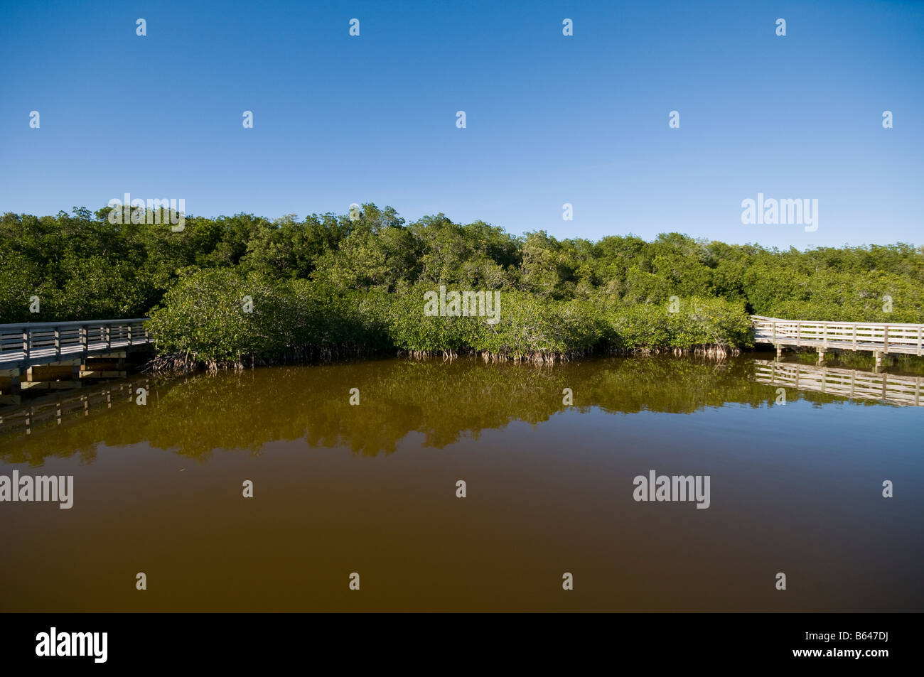 Everglades ocean hi-res stock photography and images - Alamy