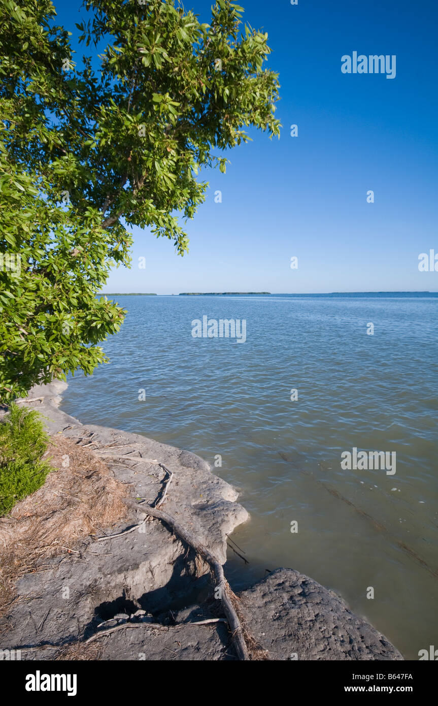 Everglades ocean hi-res stock photography and images - Alamy