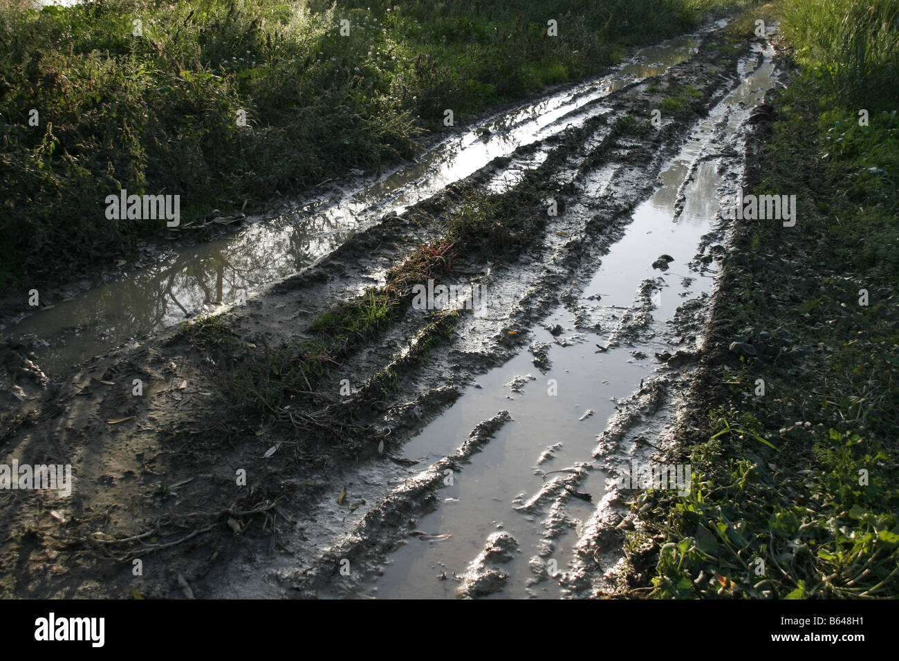 Tractor tyre in muddy field hi-res stock photography and images - Alamy
