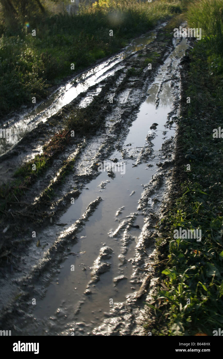 Waterlogged tractor tracks hi-res stock photography and images - Alamy