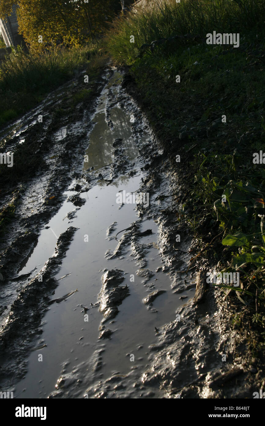Rain water in tractor tracks hi-res stock photography and images - Alamy