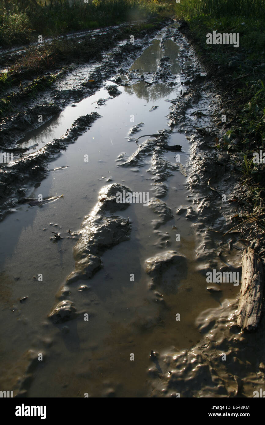 Waterlogged tractor tracks hi-res stock photography and images - Alamy