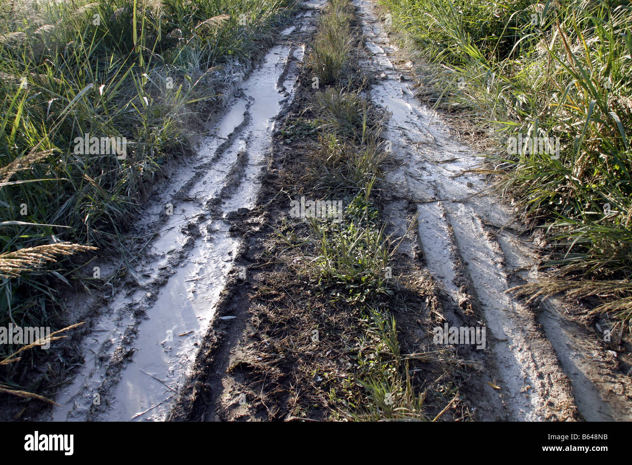 Abandoned water wheel field abandoned hi-res stock photography and ...