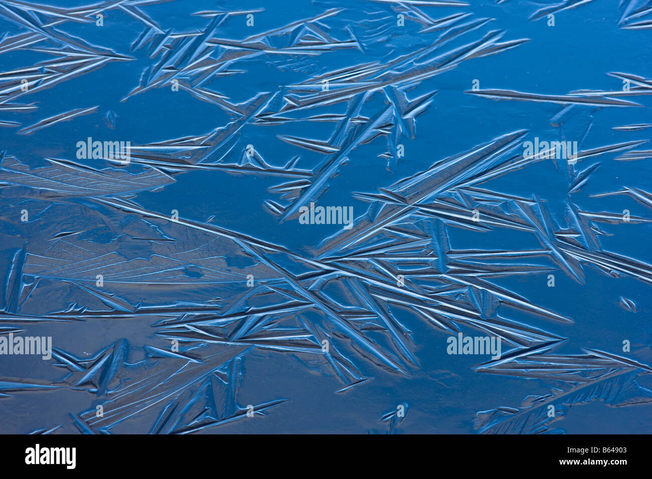 Feathery ice hi-res stock photography and images - Alamy