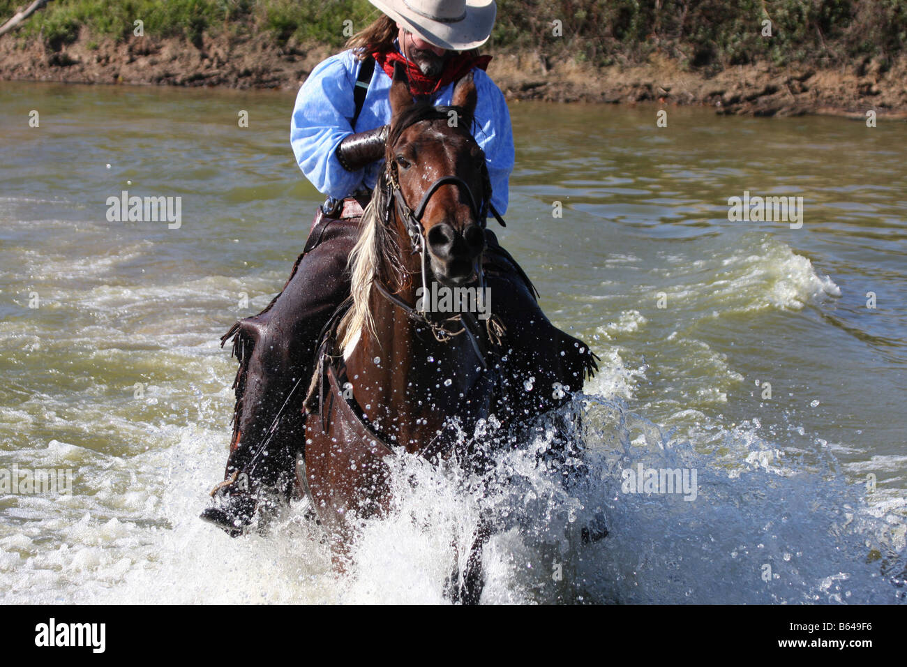 A cowboy running through the water splashing water everywhere Stock ...