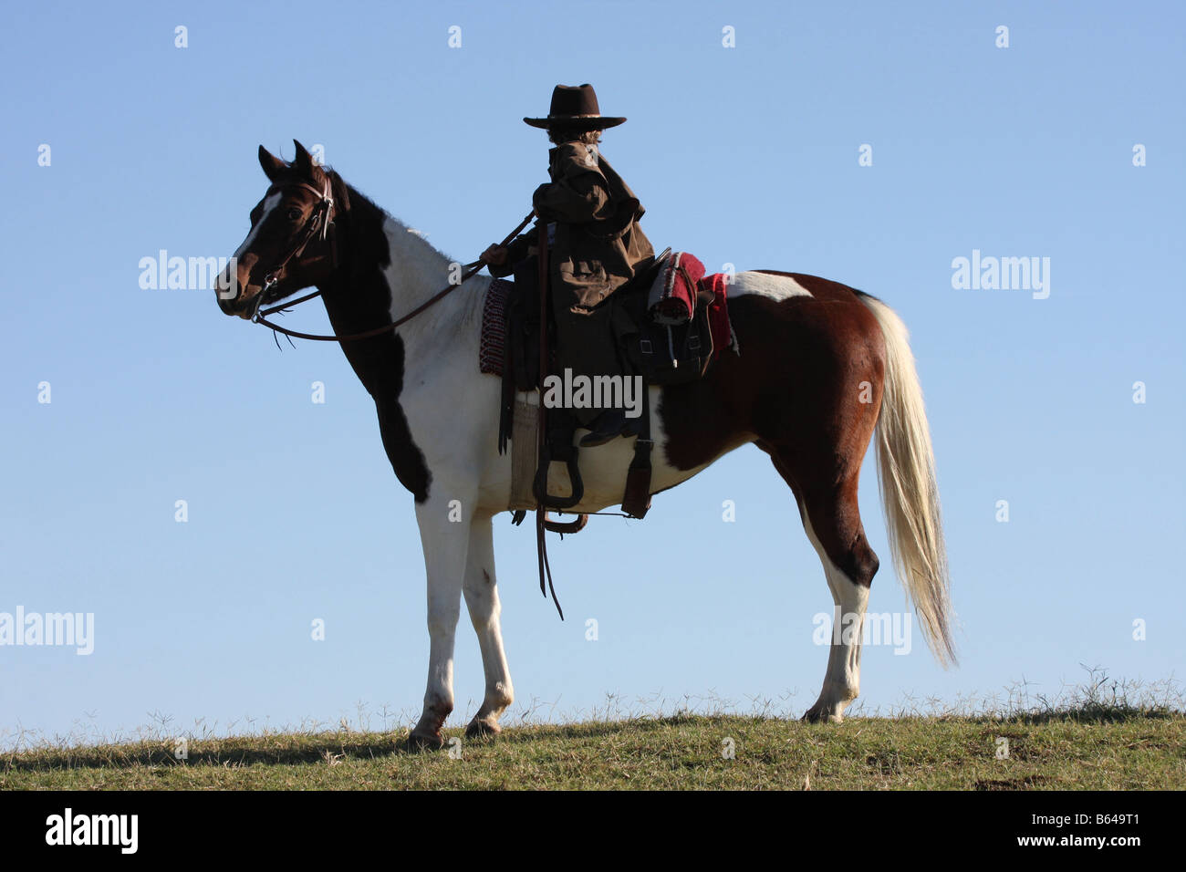 A young cowboy on horseback ready to work the ranch looking for cattle ...