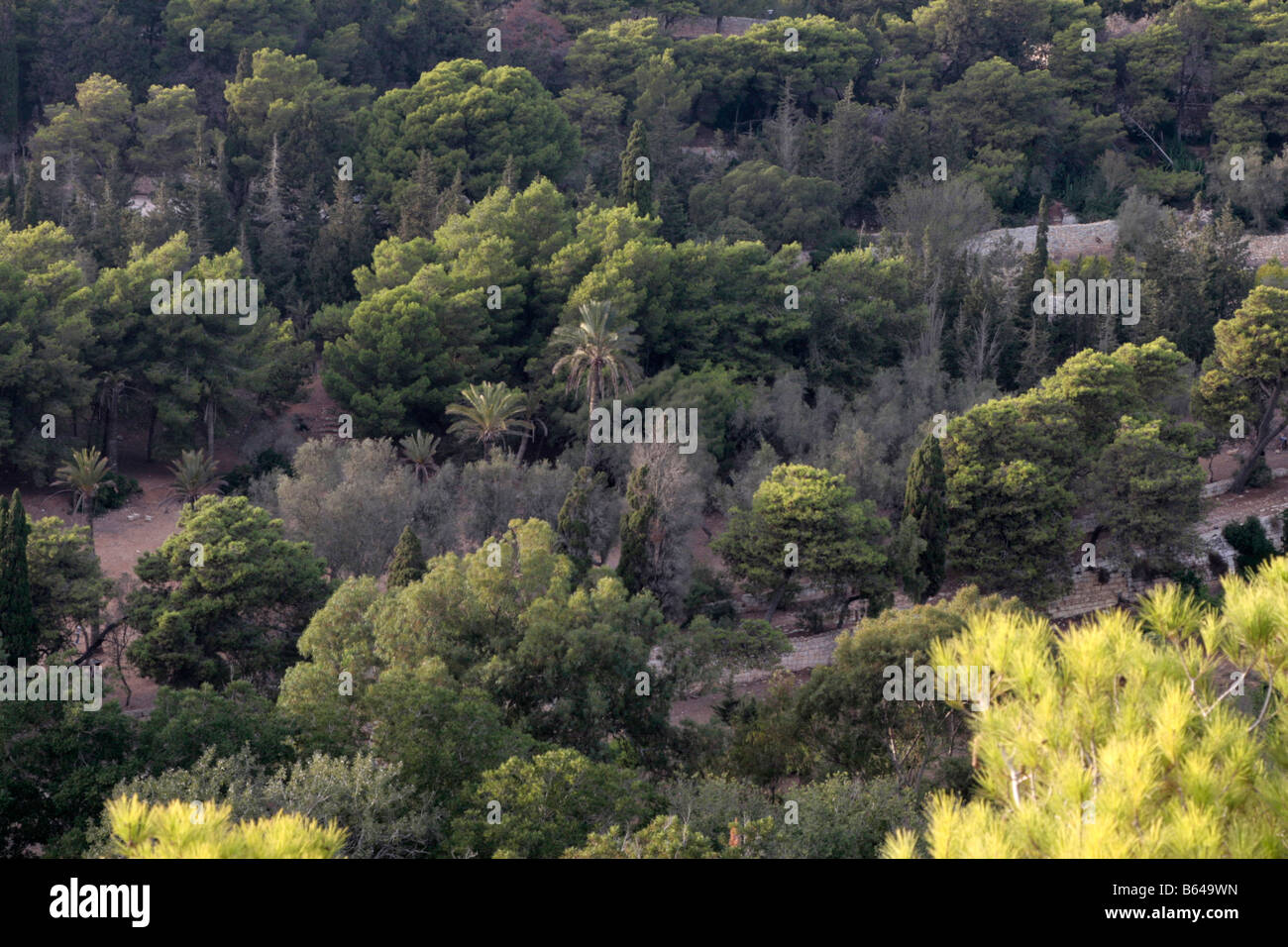 Buskett gardens hi-res stock photography and images - Alamy